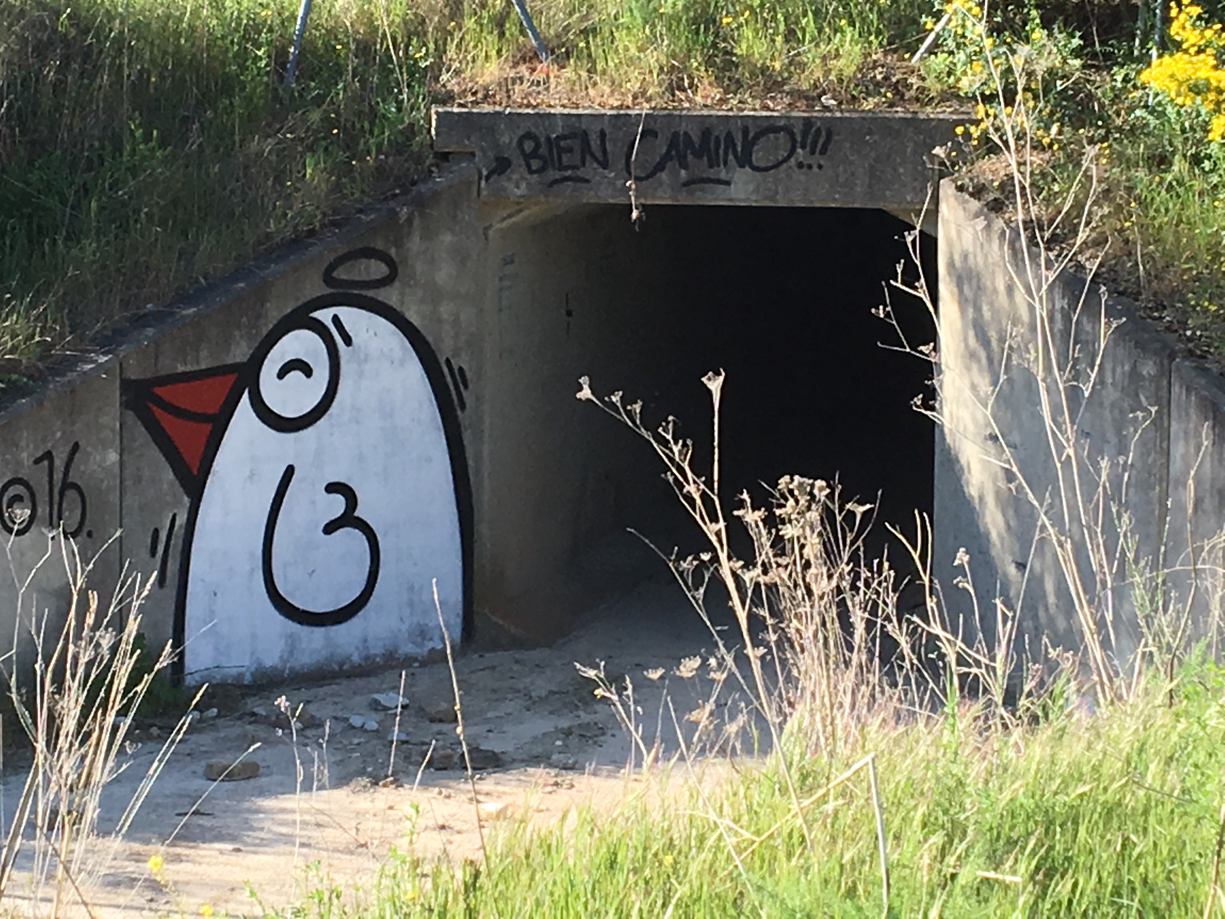 Animals of the Camino | Pilgrim Rambling